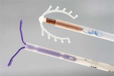 Sexing Images Browse 45 Stock Photos Vectors And Video Adobe Stock