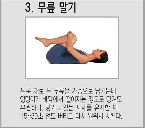 허리 통증 완화 스트레칭 허리통증완화 코브라스트레칭 허리트위스트 Facebook