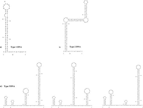 Graphical Representation Of Some Predicted Secondary Structures Of