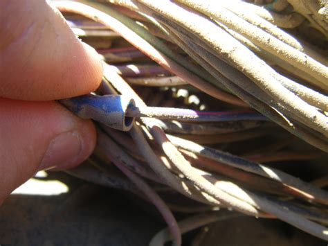 Auxillary Fan Override Switch Write Up Pics Jeep Enthusiast Forums