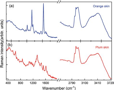 Raman Spectra Acquired From Skins Of Orange A And Plum B Download Scientific Diagram