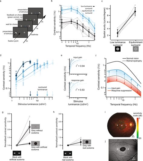 A Lateral Adaptive Input Improves Contrast Encoding In Human Subjects A Download Scientific