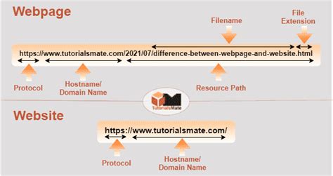 Difference Between Webpage And Website TutorialsMate