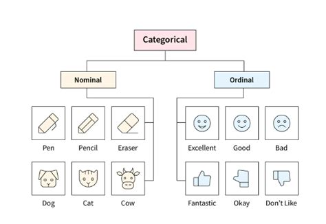 Encoding Data Kategorikal Untuk Membuat Model Machine Learning By