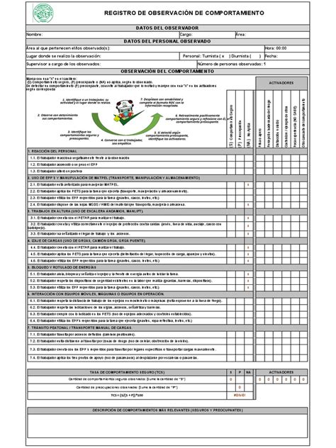 Registro De Observación De Comportamiento Laboral Pdf