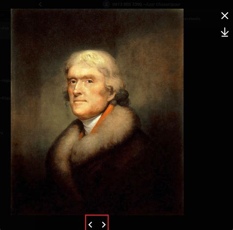 Accessing Media Gallery Navigator Buttons From Chat View · Issue 2948