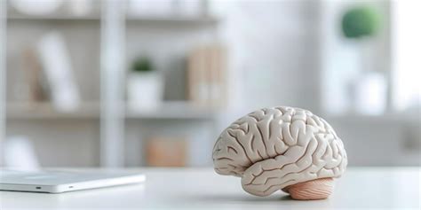 Exploring How Education Trends Intersect With Cognitive Science For