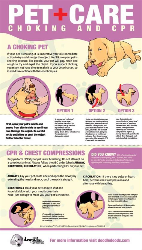 Dog Cpr And Dog Heimlich Step By Step Guide Artofit