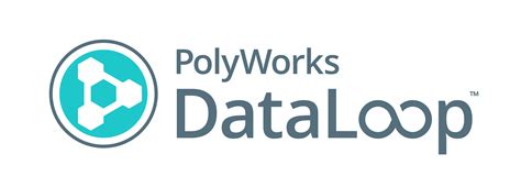 Polyworks Dataloop Industrie Online