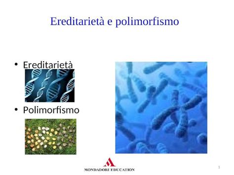 Ppt 1 Ereditarietà E Polimorfismo Ereditarietà Polimorfismo Dokumen