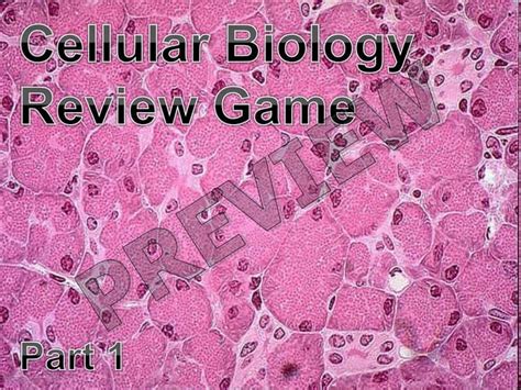 Part 1 Intro To Cells Review Game Previewpptx