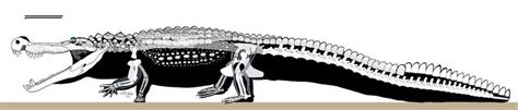 Discuss Everything About Jurassic Park Wiki Fandom