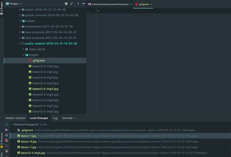 Files Added To Gitignore Are Still Shown In Commit Changes Ides Support Intellij Platform