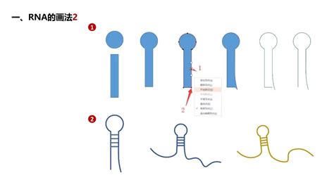 没有ggplot这个函数 这个lncrna机制图是用ppt画的！ Csdn博客