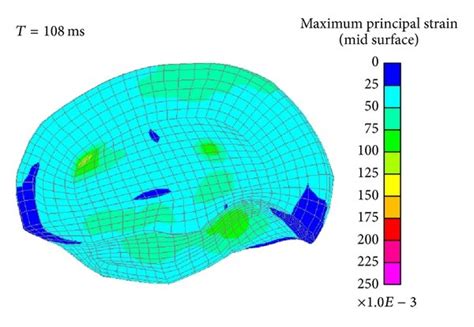 Whole Human Body Model Outputs Download Scientific Diagram
