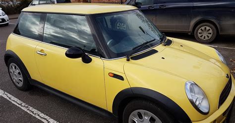 Naughty Cal A New Addition Naughty Cal A New Addition