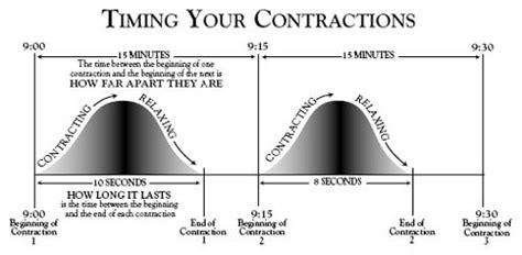 Am I In False Labor True Braxton Hicks Contractions Cervix Dilates