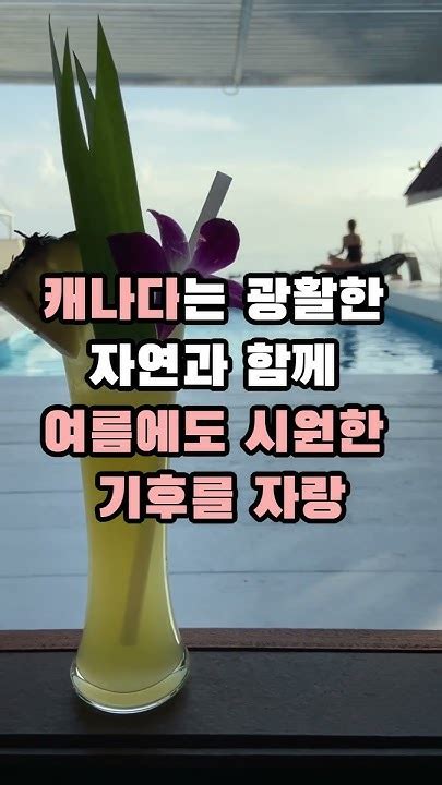 세계에서 여름철에 제일 시원한 나라 Youtube