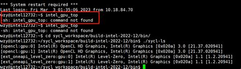 How To Show The Intel Device Detail Message Issue Intel Compute Runtime GitHub