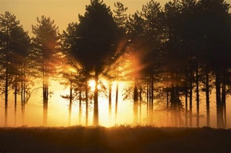 Diffraction Of Light Examples