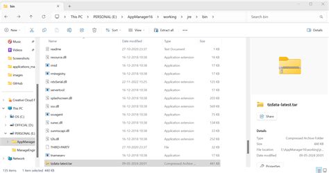 unable to update daylight saving time dst in applications manager
