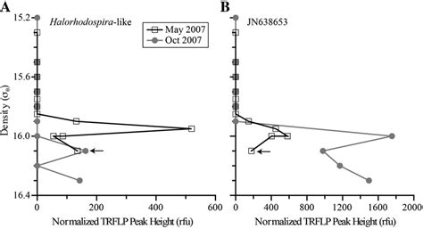 Nifh Terminal Restriction Fragment Length Polymorphism Trflp Download Scientific Diagram