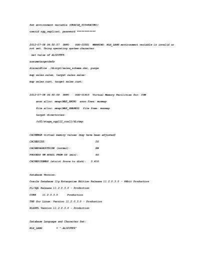 set environment variable