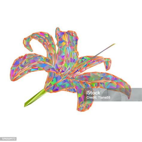 봄 꽃 릴리 Daylily 멀티 컬러 다각형 벡터 일러스트 레이 션 편집 가능한 손 그리기 0명에 대한 스톡 벡터 아트 및 기타