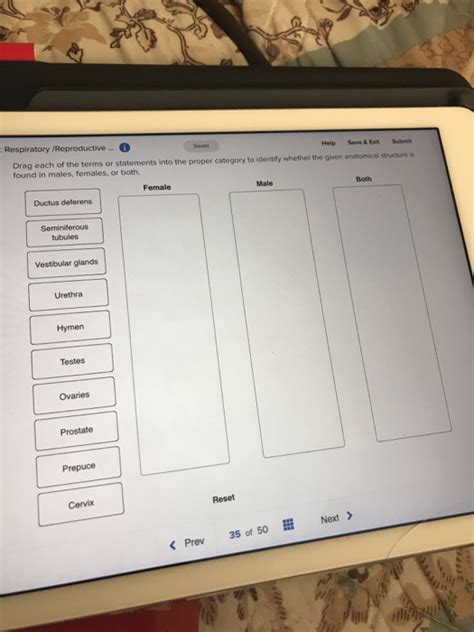 solved help saveandexit submit drag each of the terms or
