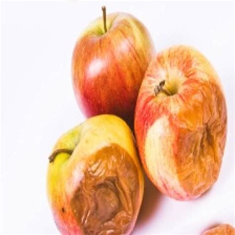 Fruits Fresh And Rotten Object Detection Dataset And Pre Trained Model By Pfe Master 2025