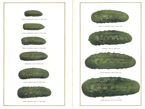 Helpful Guide To Different Pickle Sizes And Their Common Names R Coolguides