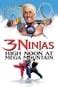 3 Ninjas High Noon At Mega Mountain 1998 Cast And Crew — The Movie