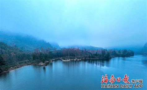 组图昌江又是一年木棉红