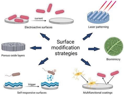 Recent Advances In The Control Of Clinically Important Biofilms