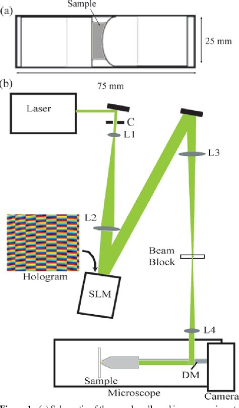 Figure 1 From Electrostatic Interactions Of Colloidal Particles In Nonpolar Solvents Role Of