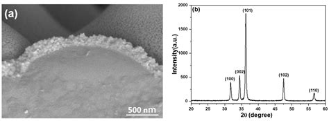 Sensors Free Full Text Synthesis Of Zno Nanoflower Arrays On A Protrusion Sapphire Substrate