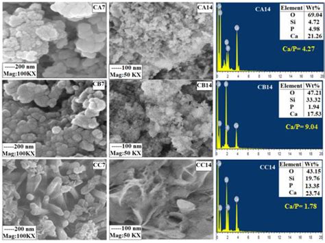 Figure 1 From Bio Physical Investigation Of Calcium Silicate