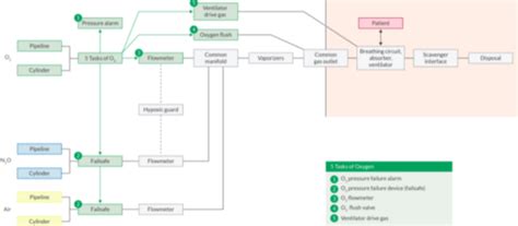 APEX Unit Anesthesia Machine Flashcards Quizlet