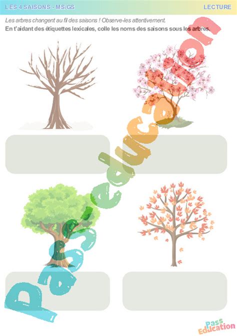 Les arbres Les 4 saisons Lecture PS MS Maternelle PDF à