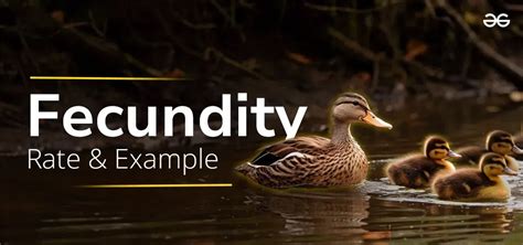What Is Fecundity Geeksforgeeks