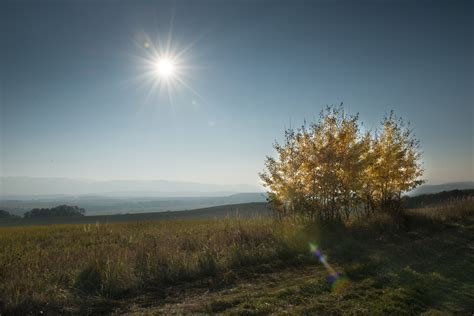 Free Images Landscape Tree Nature Horizon Mountain Light Cloud