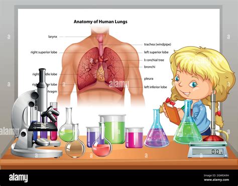 Girl Learning In Science Class Stock Vector Image And Art Alamy