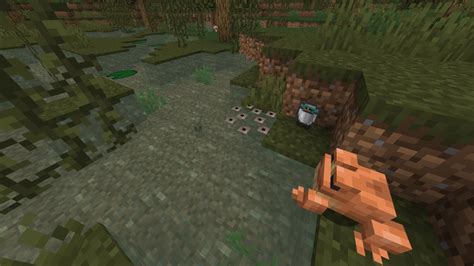 Discover Frog Variants And Automatic Frog Light Farm In Minecraft