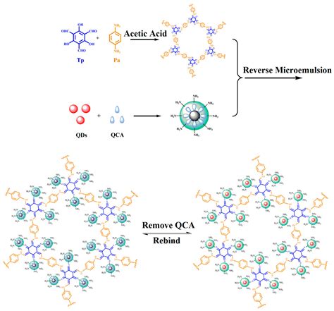 Polymers Free Full Text Luminescent Molecularly Imprinted Polymers