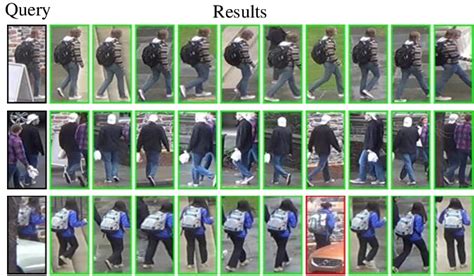 A Frequency Reinforce And Information Mutual Embedding Network For Occluded Person Re Identification