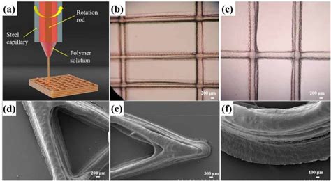 A Schematic Of Direct Write Printing B C Image Of 3d Grid