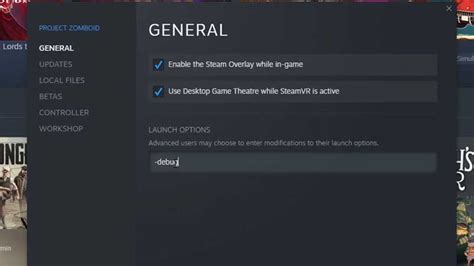 How To Enable Debug Mode Cheats In Project Zomboid