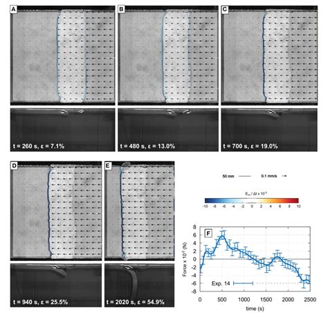 Figure 6 From Initiation Of Subduction Along Oceanic Transform Faults Insights From Three