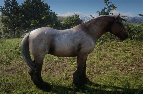 Ardennes Red Dead Wiki Fandom Powered By Wikia