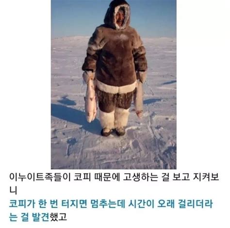 에스키모인 들을 통해서 밝혀진 콜레스테롤의 비밀 유머움짤이슈 에펨코리아